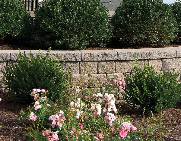 Coping Archives - Ideal Block