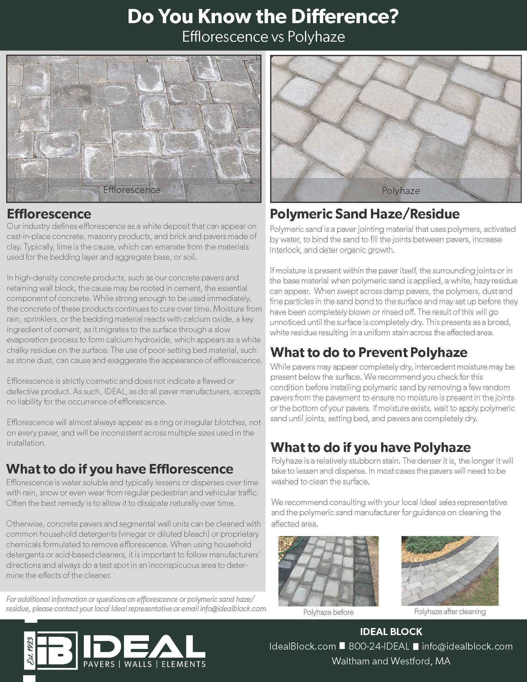 Efflorescence vs Polymeric Sand Haze - Ideal Block